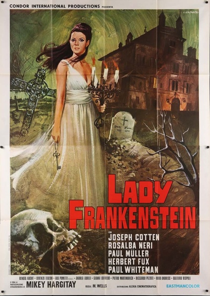 The Lady Movie Poster
