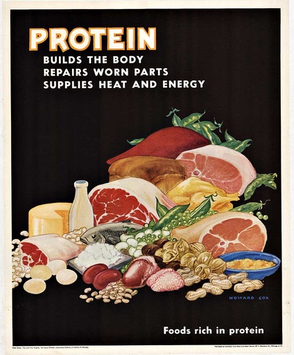PROTEIN - Foods rich in protein | Advertising Posters | Limited Runs