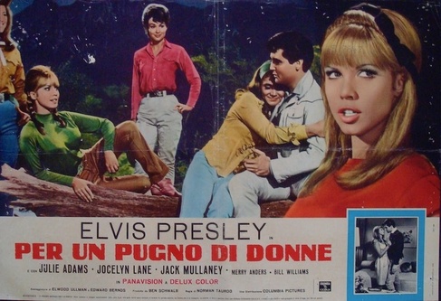 Tickle Me | Italian Photobusta | Movie Posters | Limited Runs