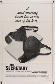 The Secretary | One Sheet | Movie Posters | Limited Runs