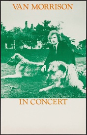 Van Morrison in Concert Stock Poster | Music Posters | Limited Runs