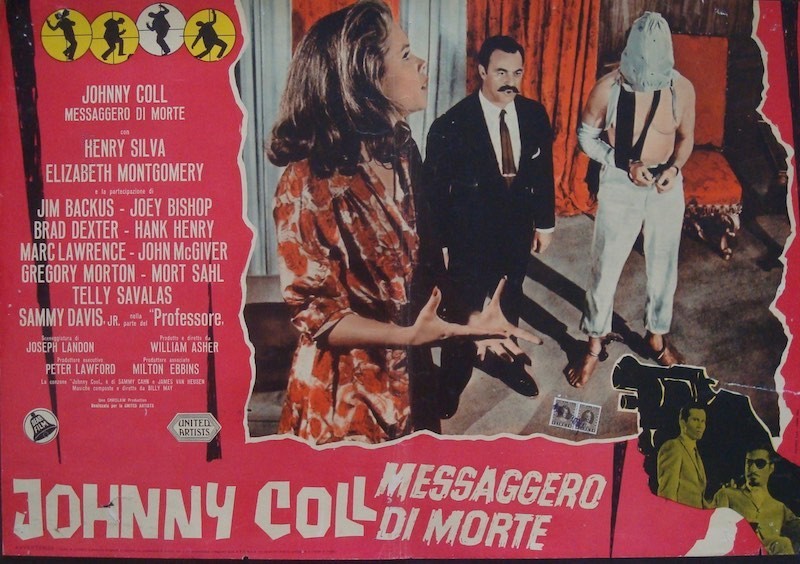 Johnny Cool | Limited Runs